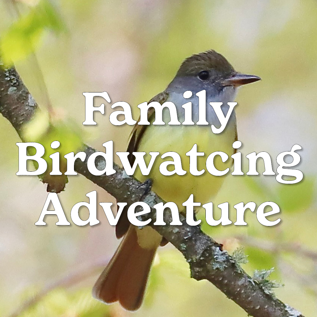 Family Birdwatching Adventure by Door County Land Trust