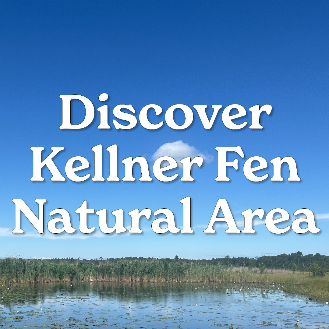 Discover Kellner Fen Natural Area by Door County Land Trust