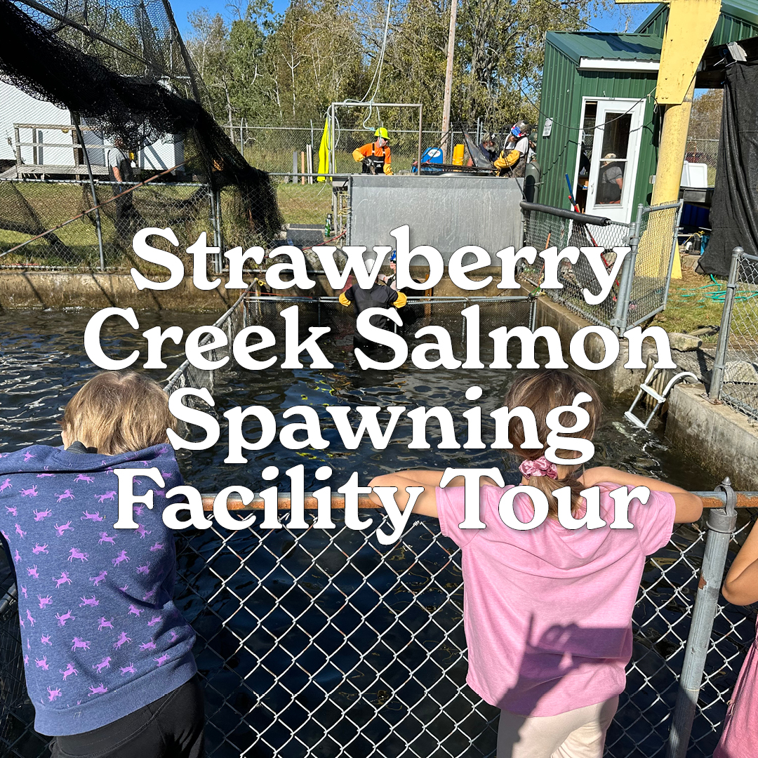 Strawberry Creek Salmon Spawning Facility Tour by Door County Land Trust