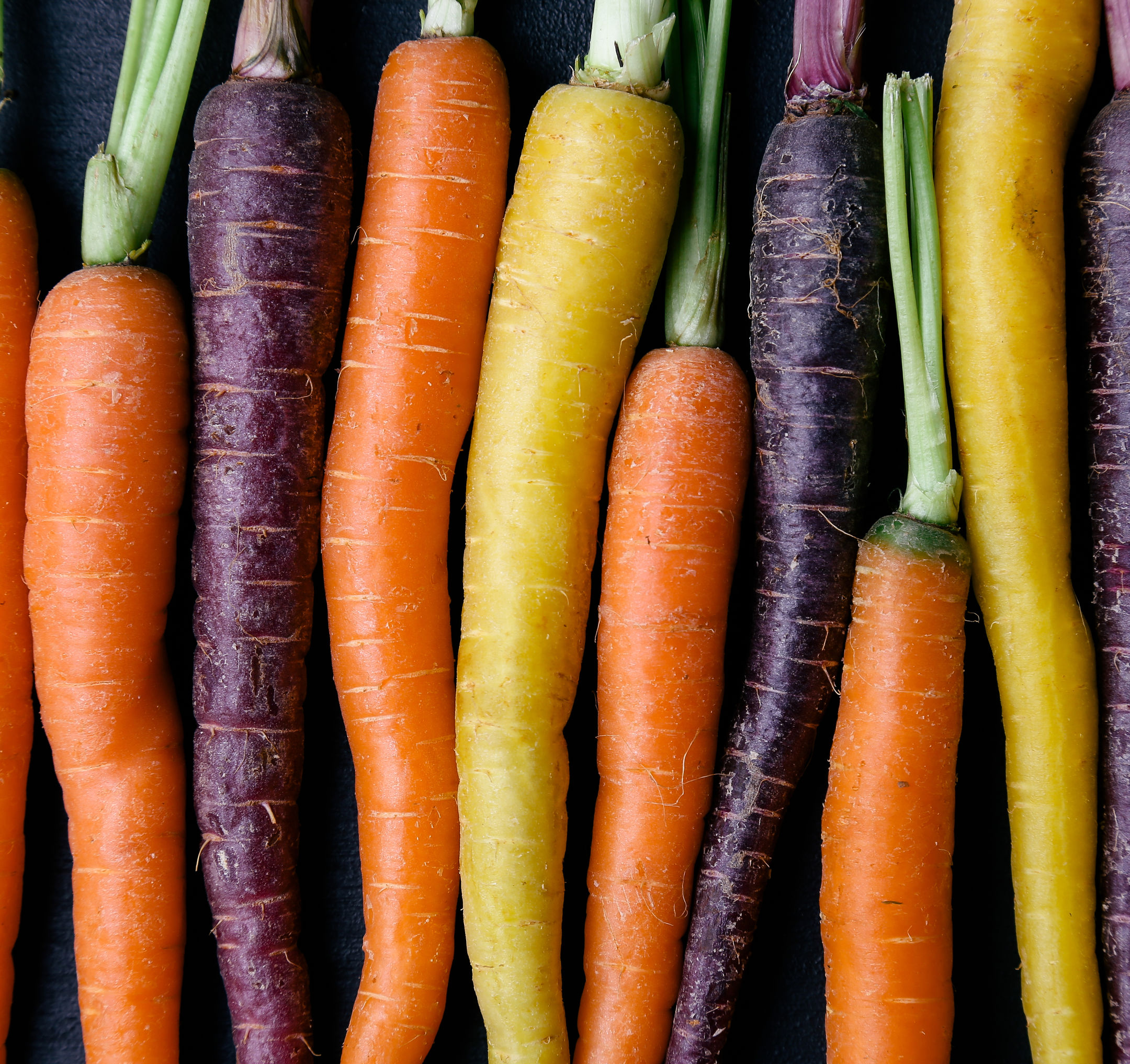 Donate Now | Gorge Grown Food Network