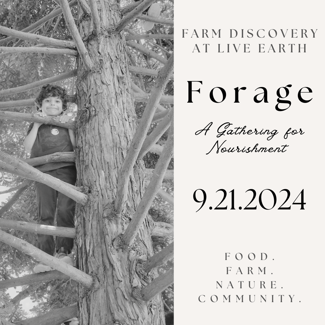 Thrive - Fall Feast by Fall Fund Drive 2025