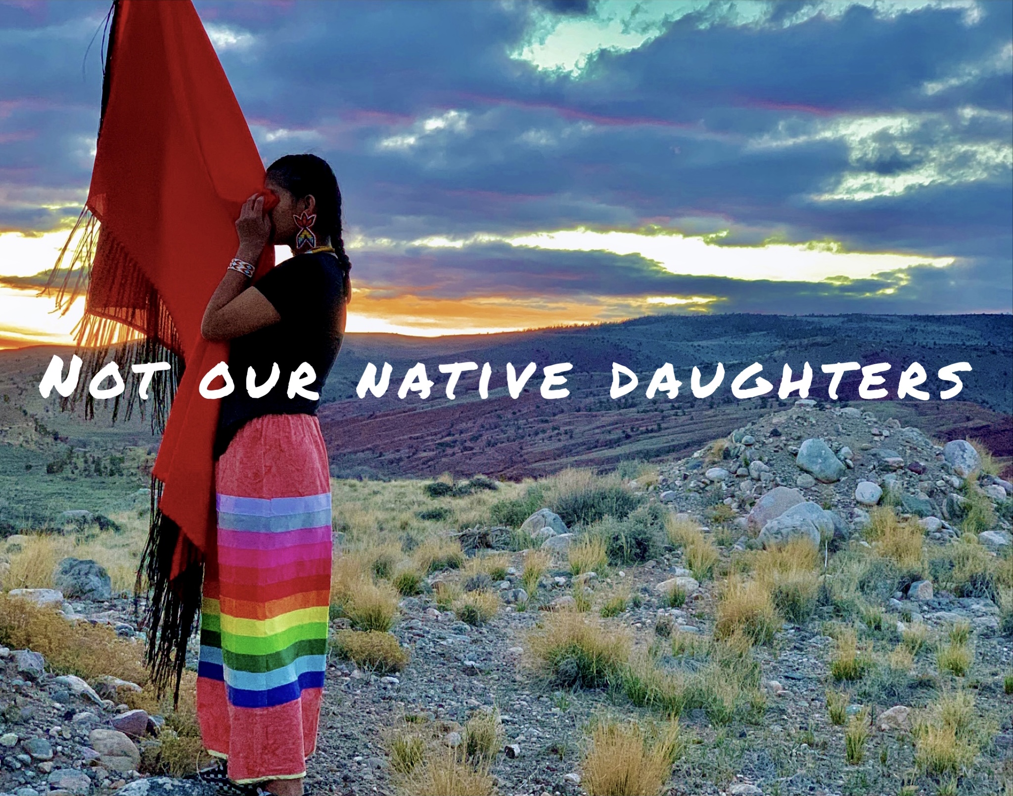 Donate Now | Not Our Native Daughters