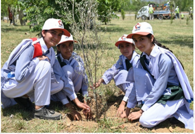 HDF Chicago Annual Gala 2024 by Human Development Foundation