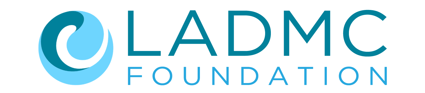 Donate Now | LADMC Foundation