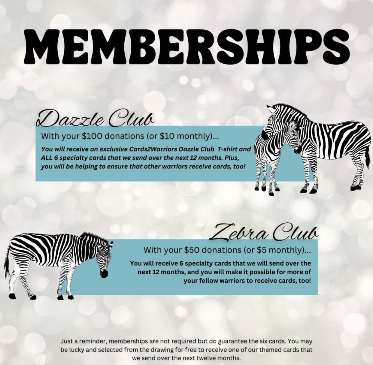 Donate Now | Zebra and Dazzle by Cards2Warriors Org, inc.