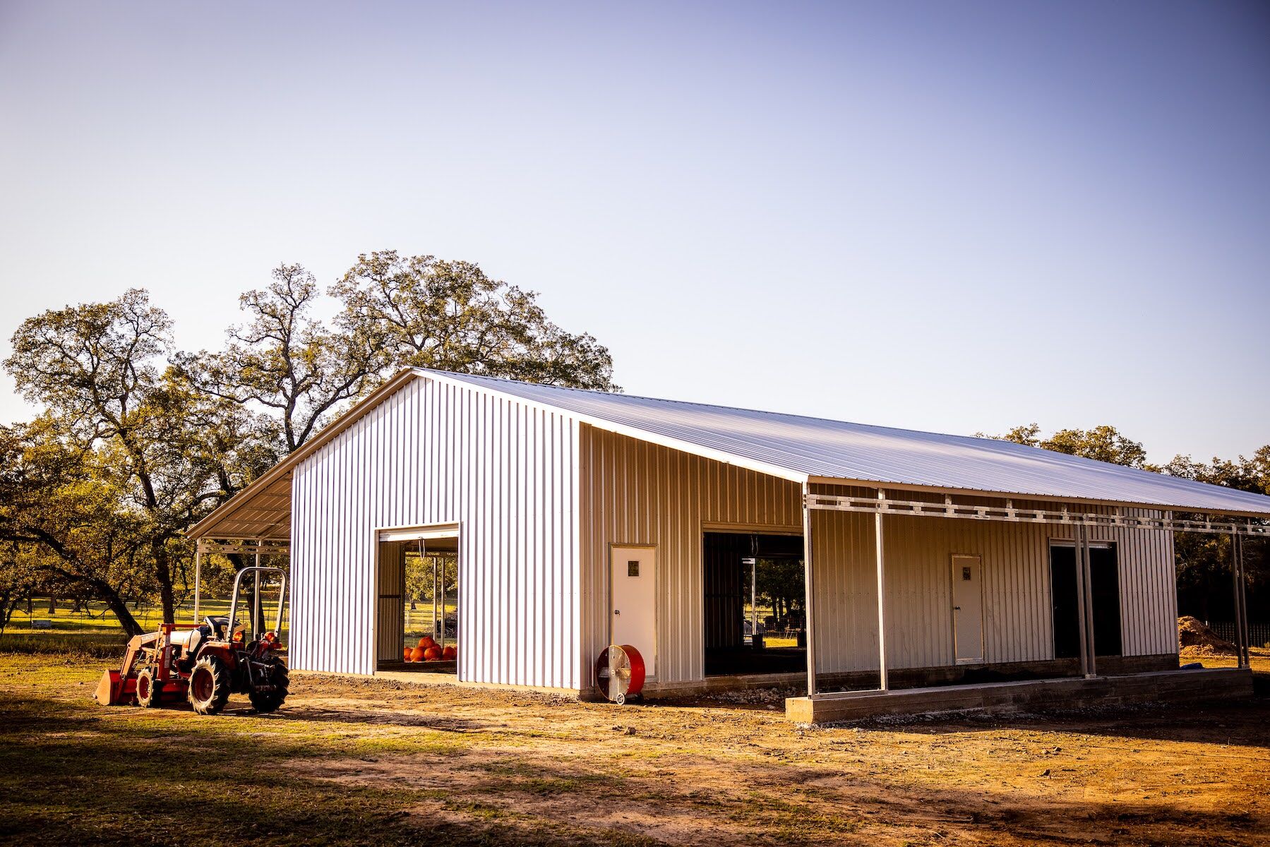 Donate Now | Austin Farm Sanctuary
