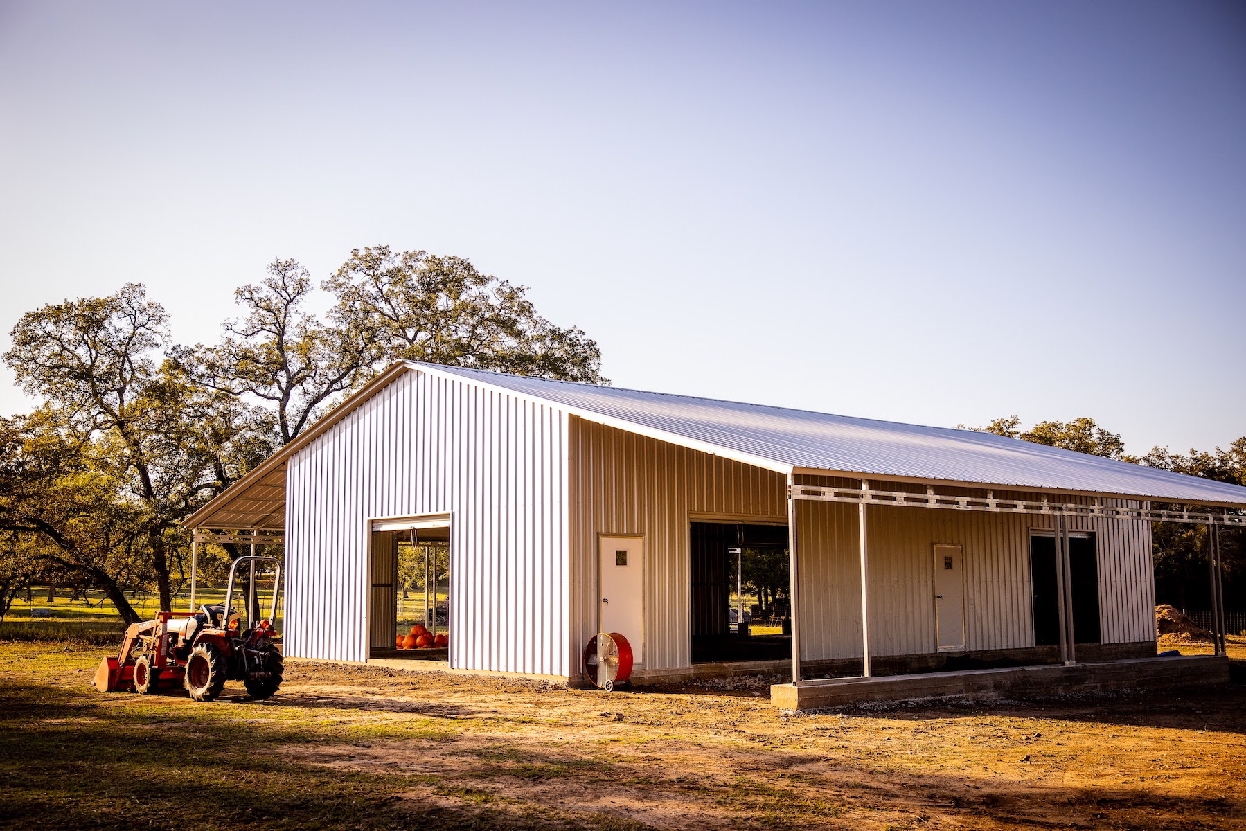 Donate Now | Austin Farm Sanctuary