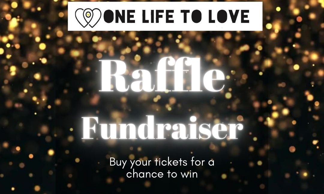 Raffle benefitting One Life to Love by One Life to Love