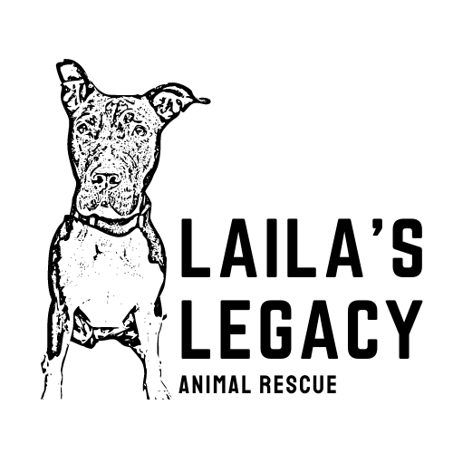Donate Now | Laila's Legacy Animal Rescue