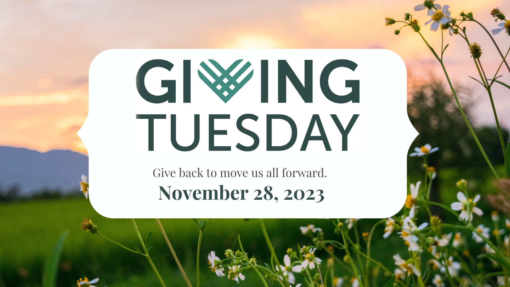 Donate Now | GivingTuesday 2023 | Grace Holistic Center for Education ...