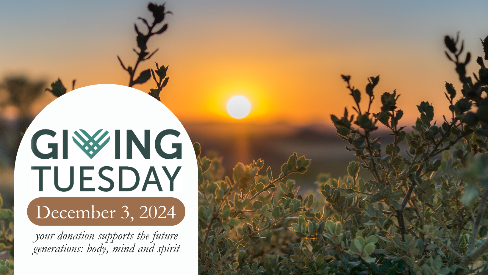 Donate Now | GivingTuesday 2024 | Grace Holistic Center for Education ...