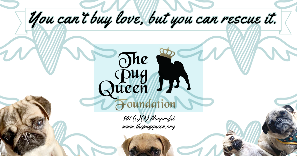 Donate Now | The Pug Queen Foundation