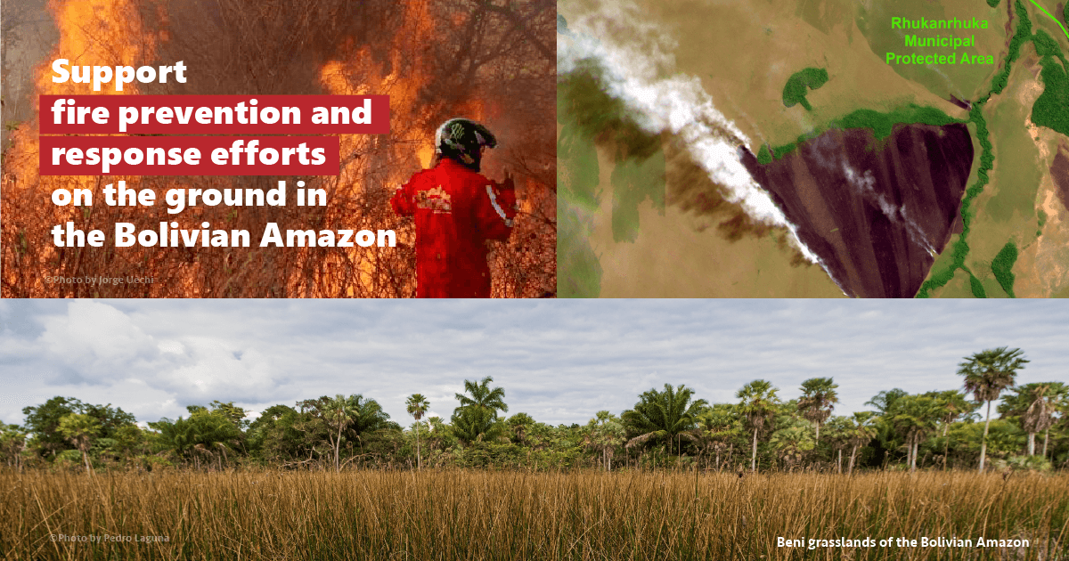 Donate Now | 2021 Amazon Fires Prevention and Response by Amazon ...