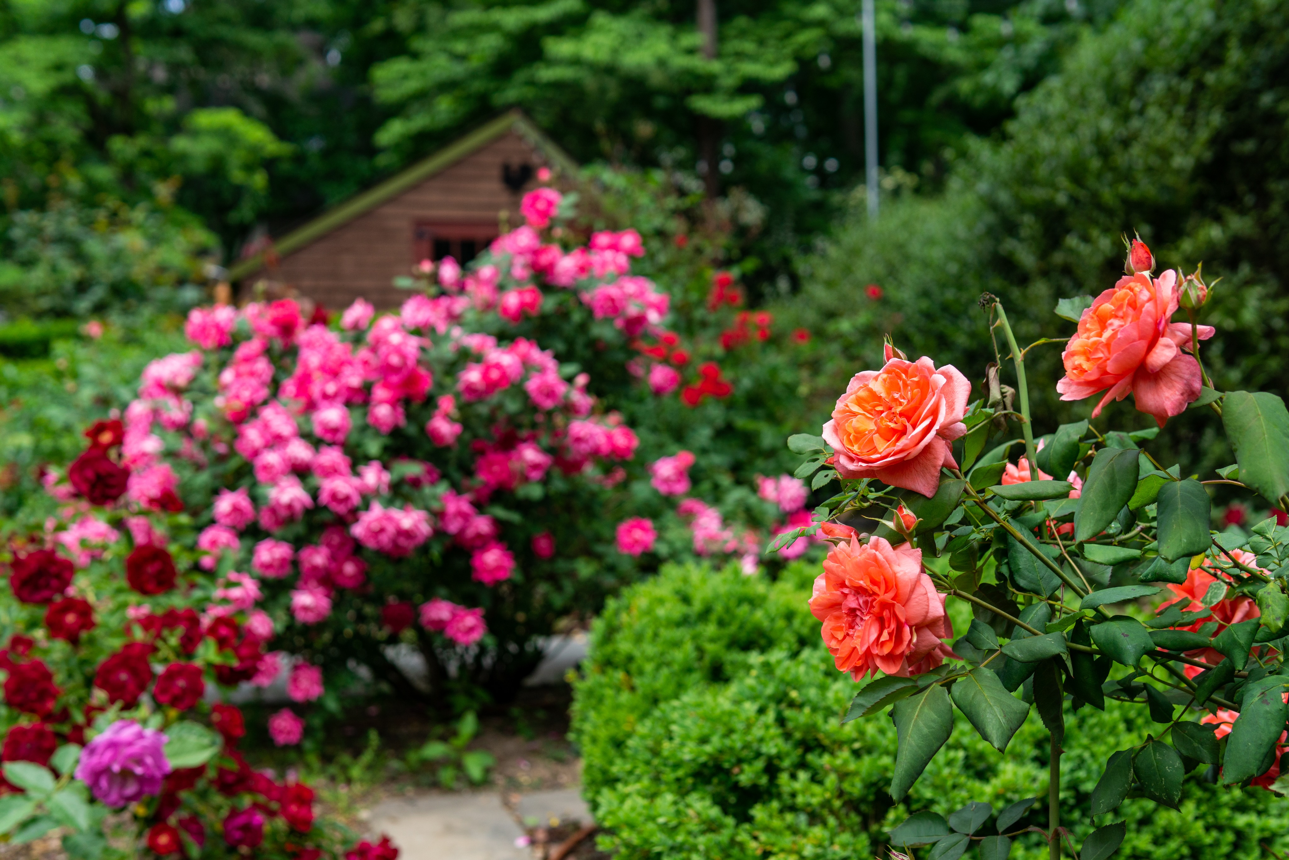 Donate Now | Freeman Gardens Association
