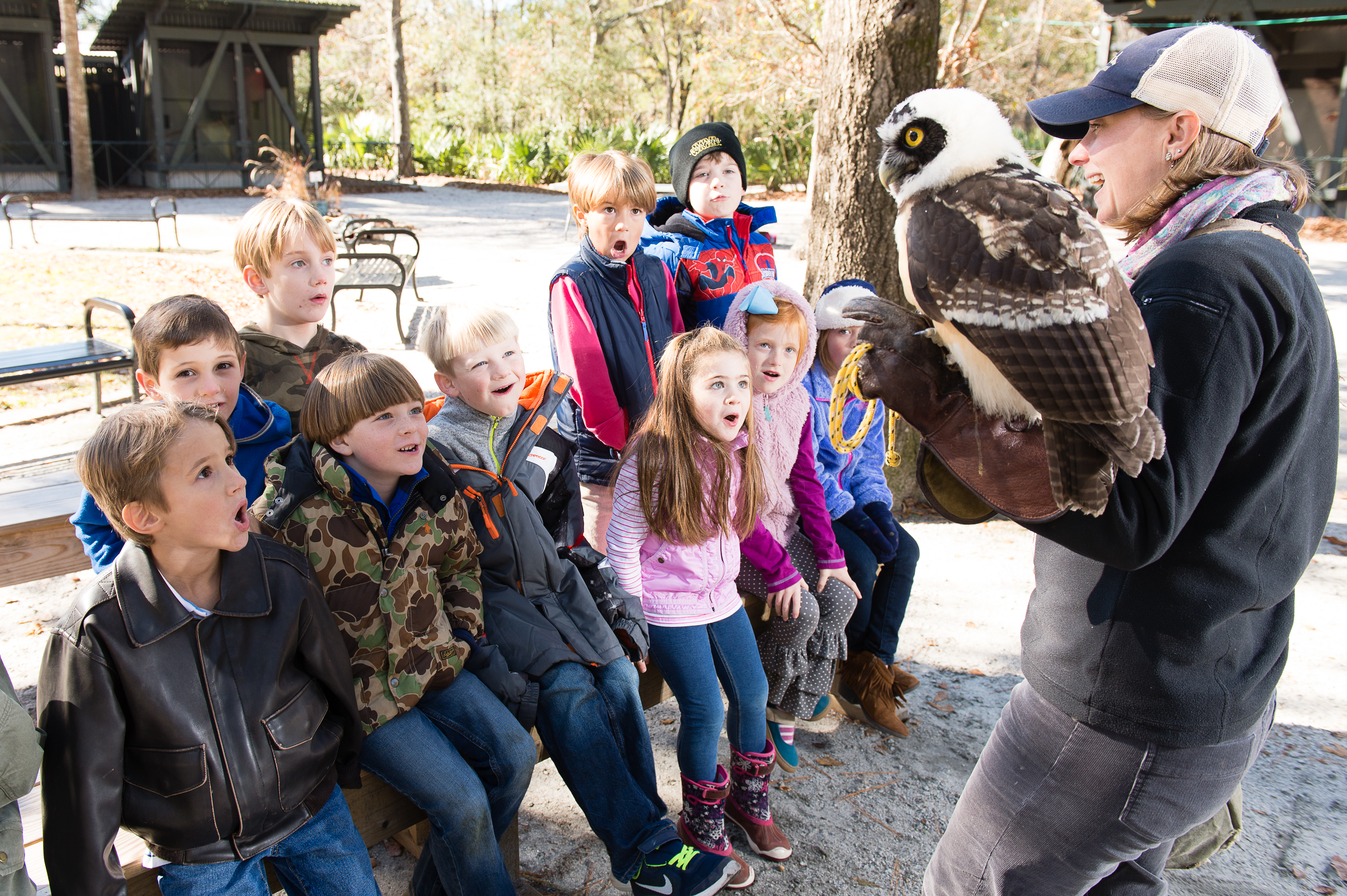 Donate Now | Avian Conservation Center