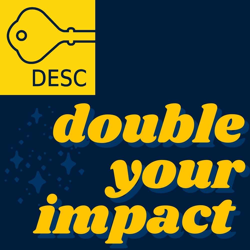 Donate Now | DESC's 2022 $1 Million Match Campaign by Downtown ...