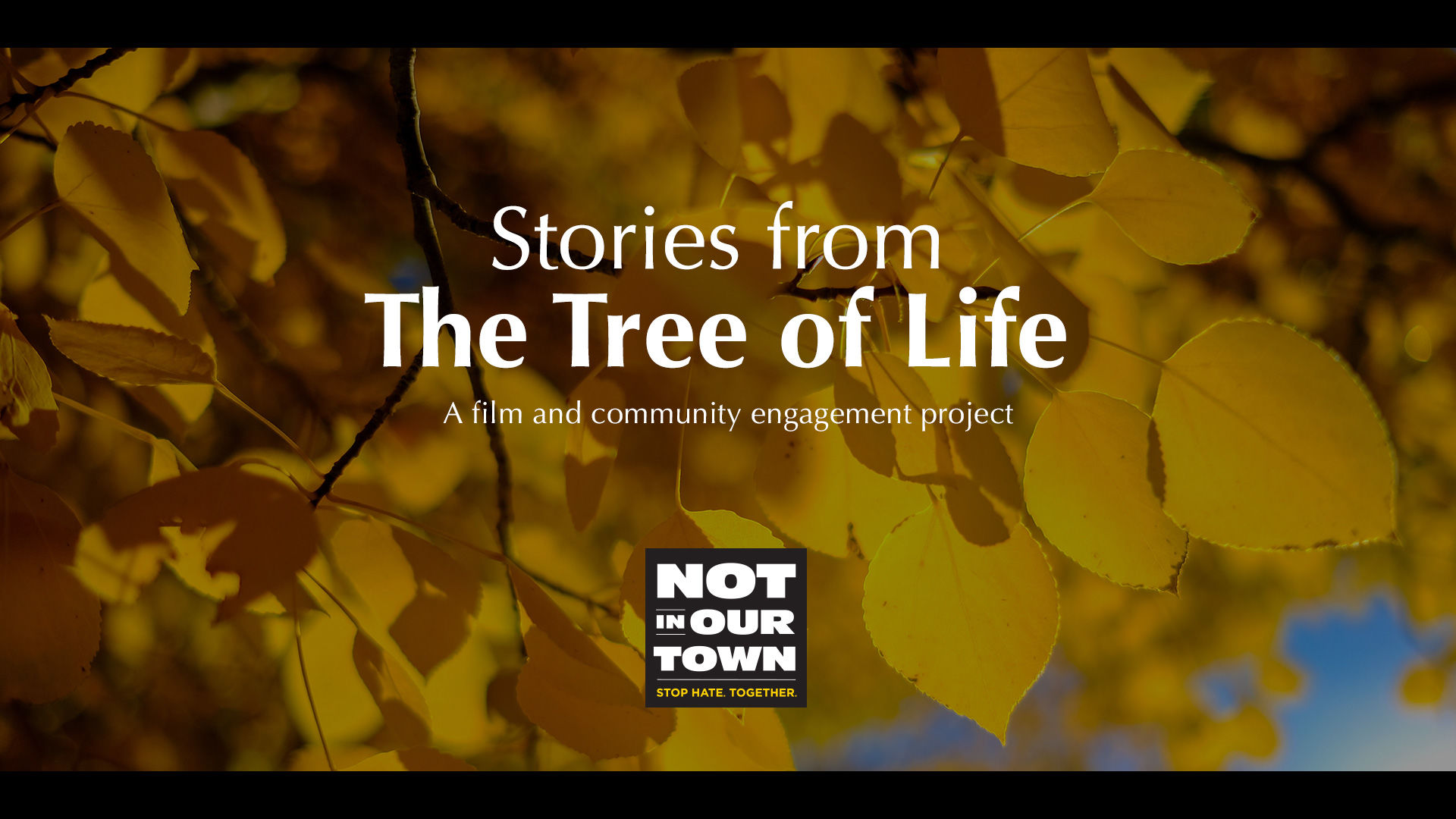Tree Of Life Wallpaper Film