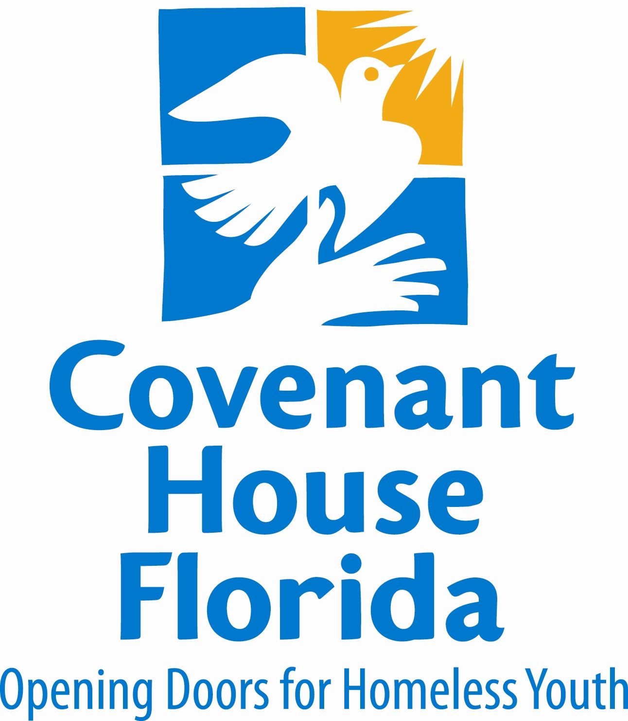 Young Pros for Covenant House and Broward Noles by Covenant House Florida