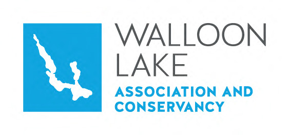 Volunteer Stream Monitoring with Tip of the Mitt Watershed Council by ...