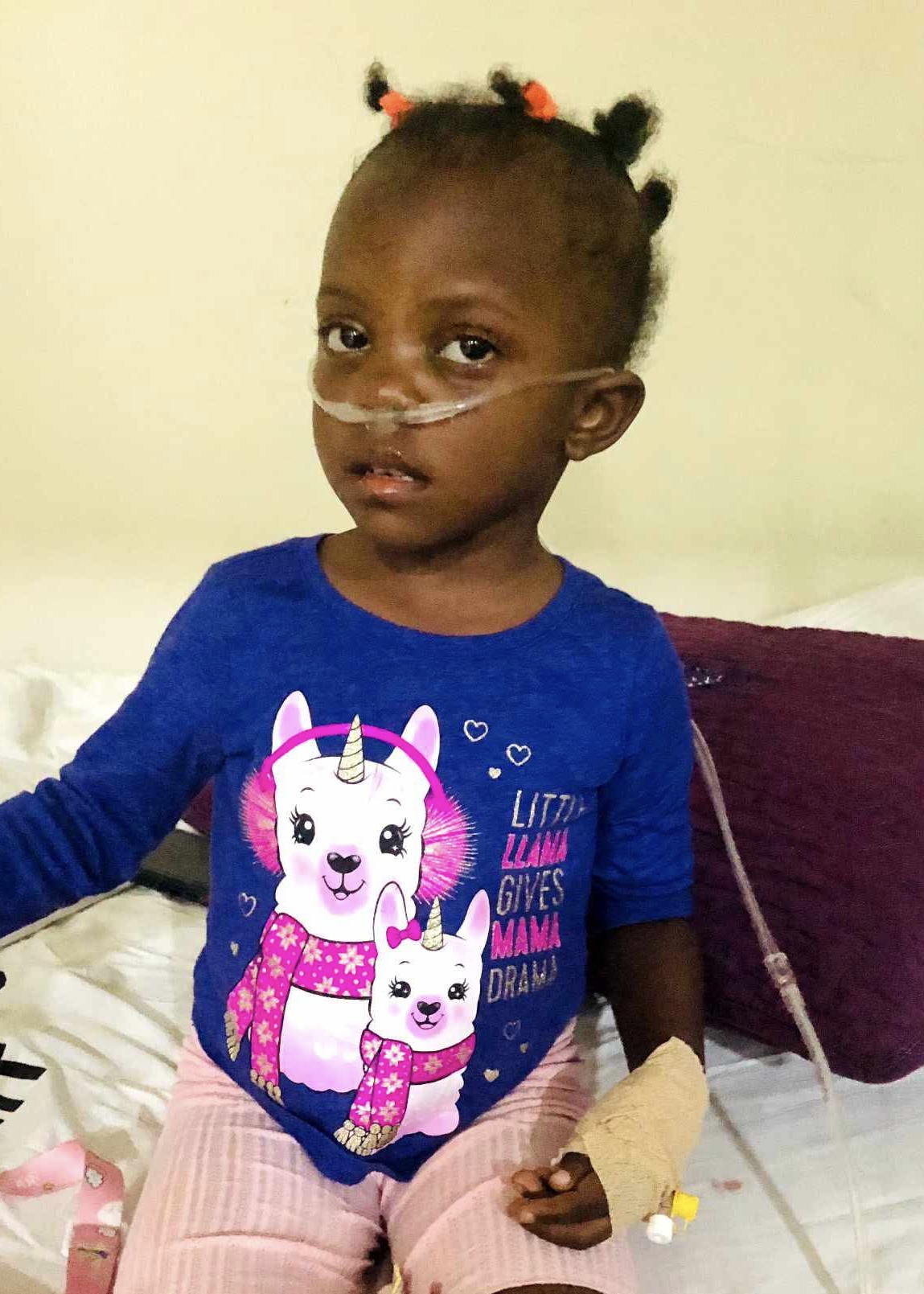 Donate Now | Paige's Bone Marrow Transplant by LION Ministries