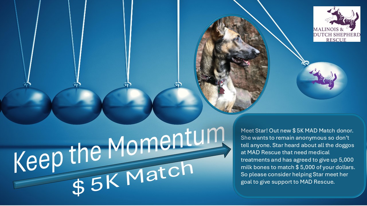 Donate Now | Star's $ 5K Match ~~ Continue the $ 5K Momentum~~ MAD ...