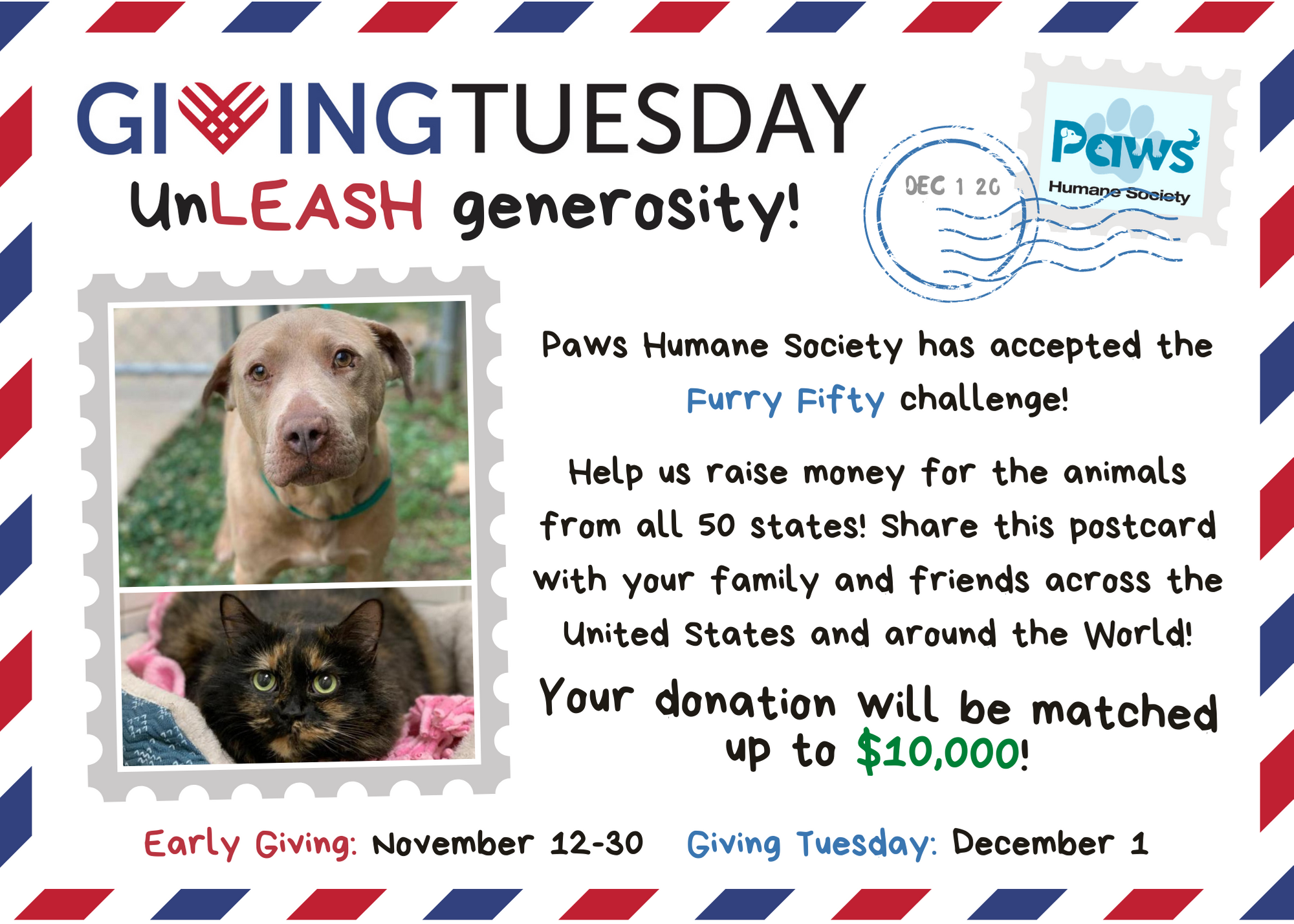 Donate Now | Giving Tuesday 2020 by Paws Humane Society
