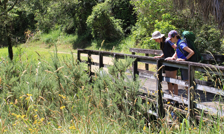 Flowering Trees 2023 by Goodell Gardens & Homestead