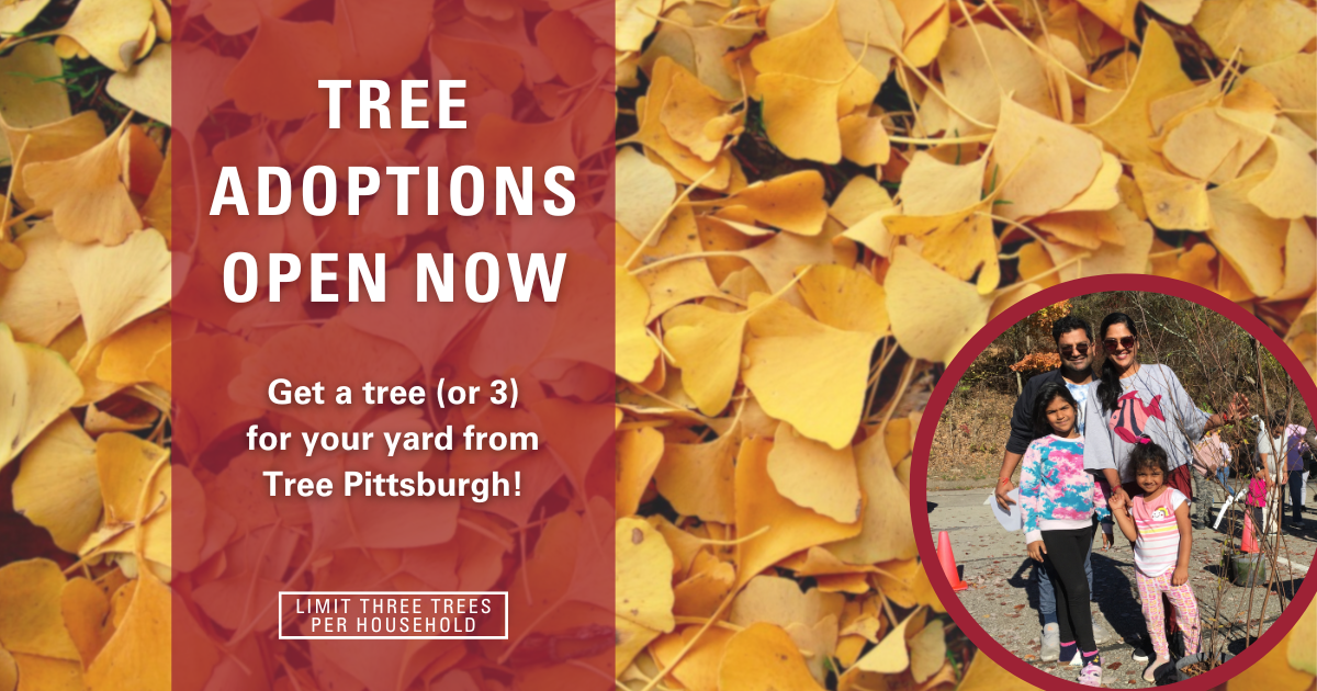 Tree Adoption: Deer Lakes Park Fall 2023 by Tree Pittsburgh