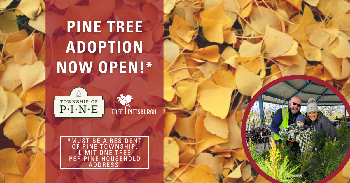Tree Adoption: Pine Township Fall 2024 by Tree Pittsburgh