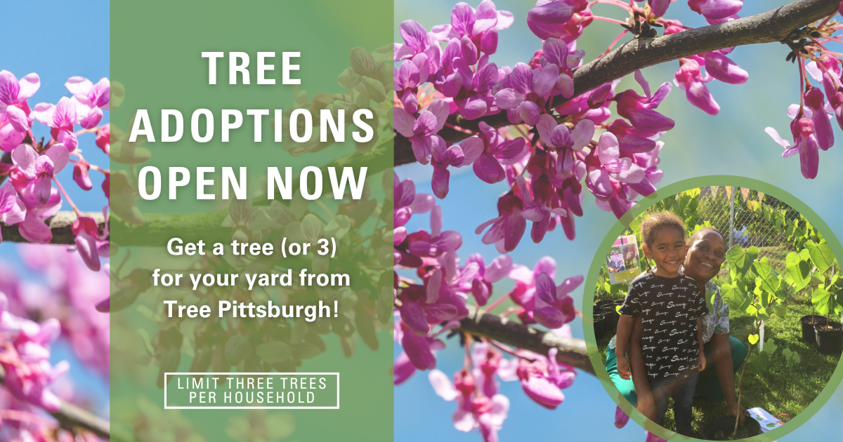 Tree Adoption: Tree Pittsburgh Campus Spring 2024 by Tree Pittsburgh