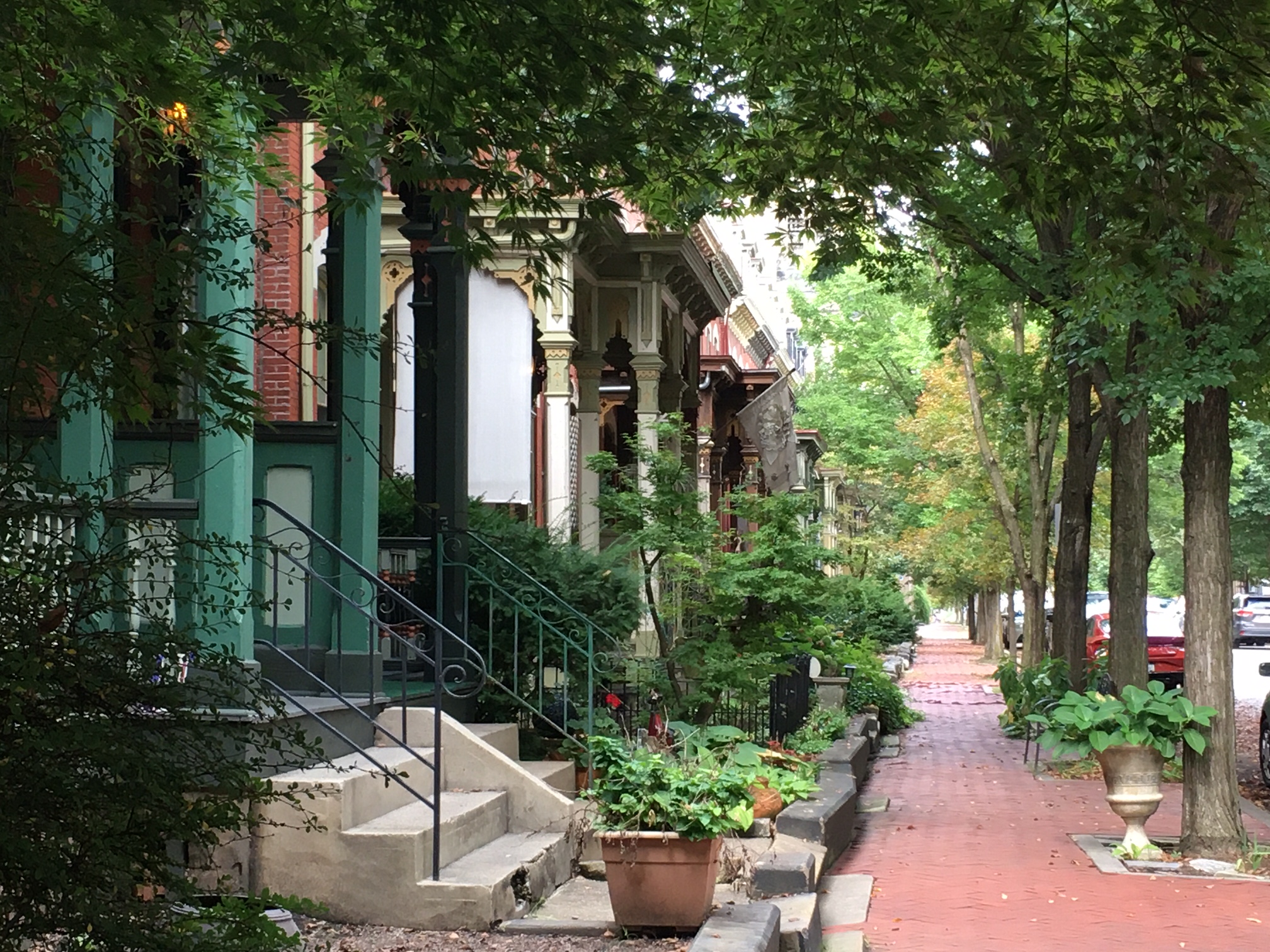 Manchester Tree ID Walk by Tree Pittsburgh