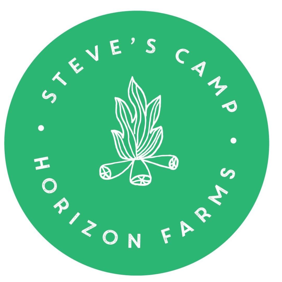 Donate Now | Steve's Camp at Horizon Farms Special Appeal - Virtual ...