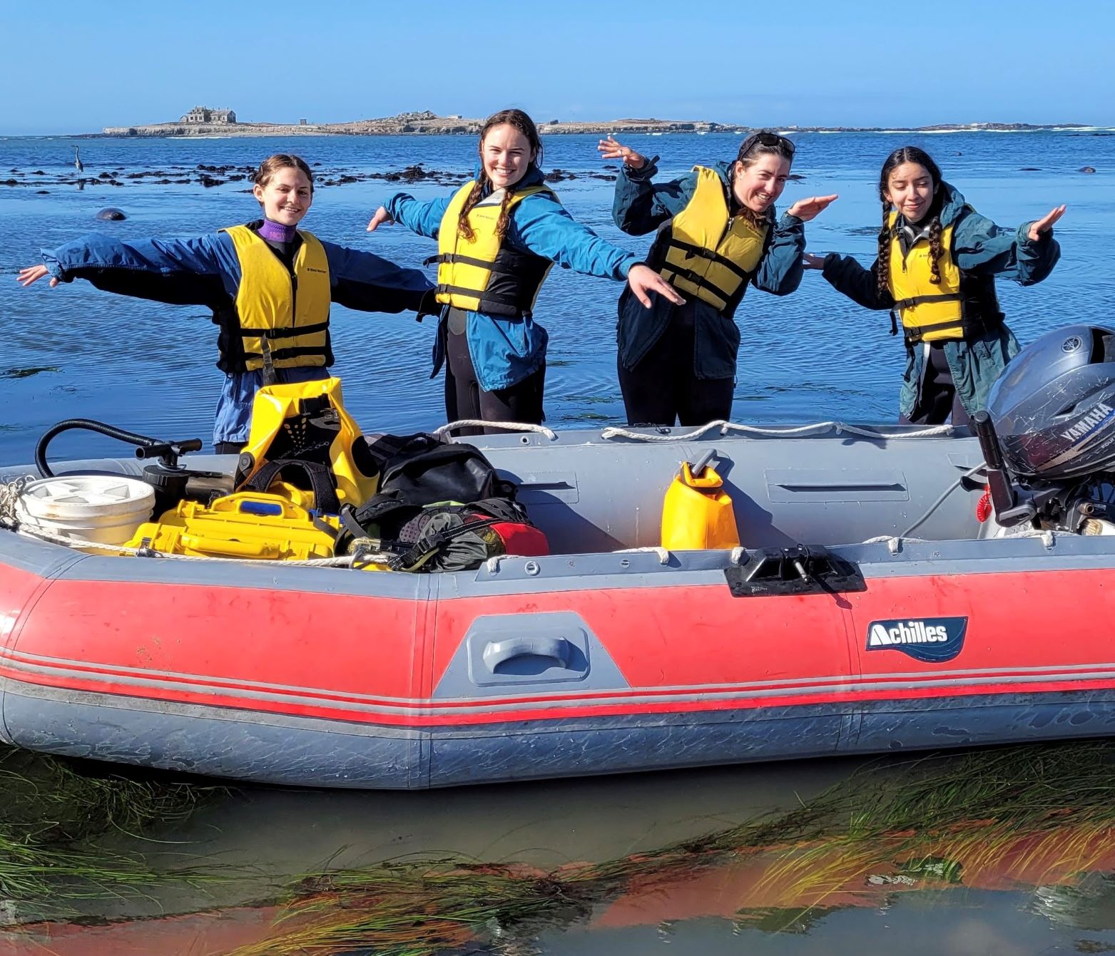 Donate Now | Año Nuevo Island by Oikonos - Ecosystem Knowledge