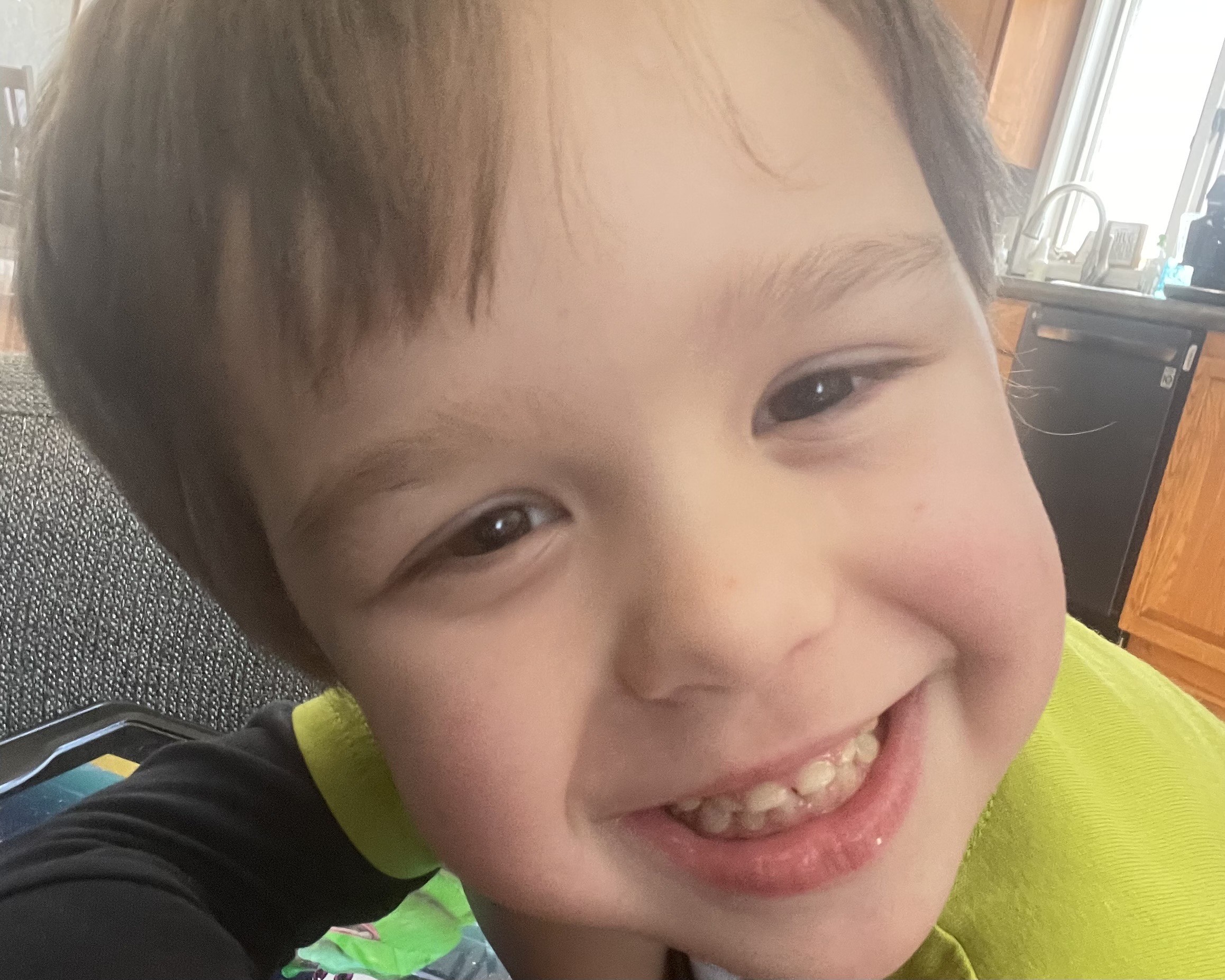donate-now-service-dog-for-logan-by-syngap-research-fund