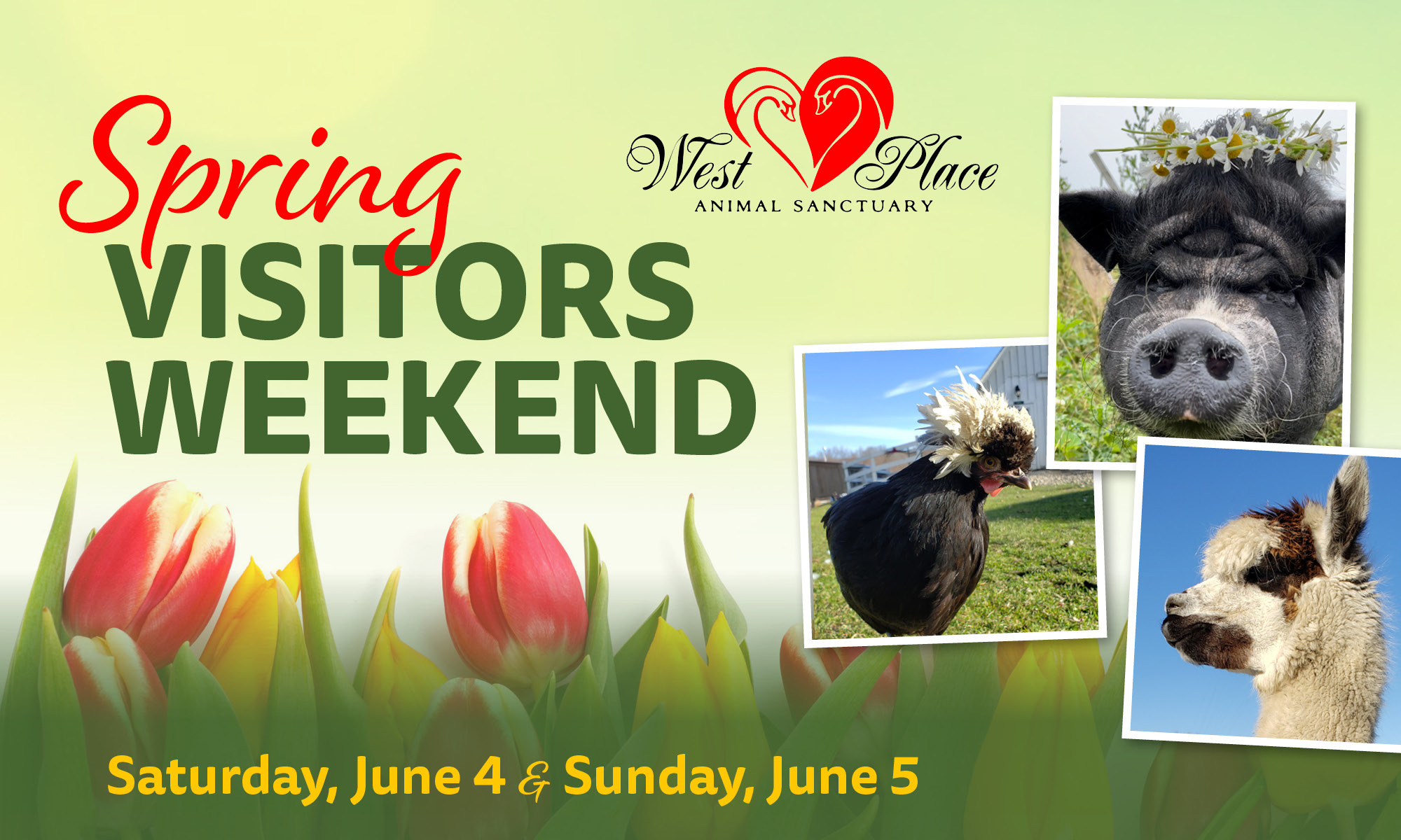 Spring Visitors Weekend: Saturday, June 4 @ 3pm by West Place Animal ...