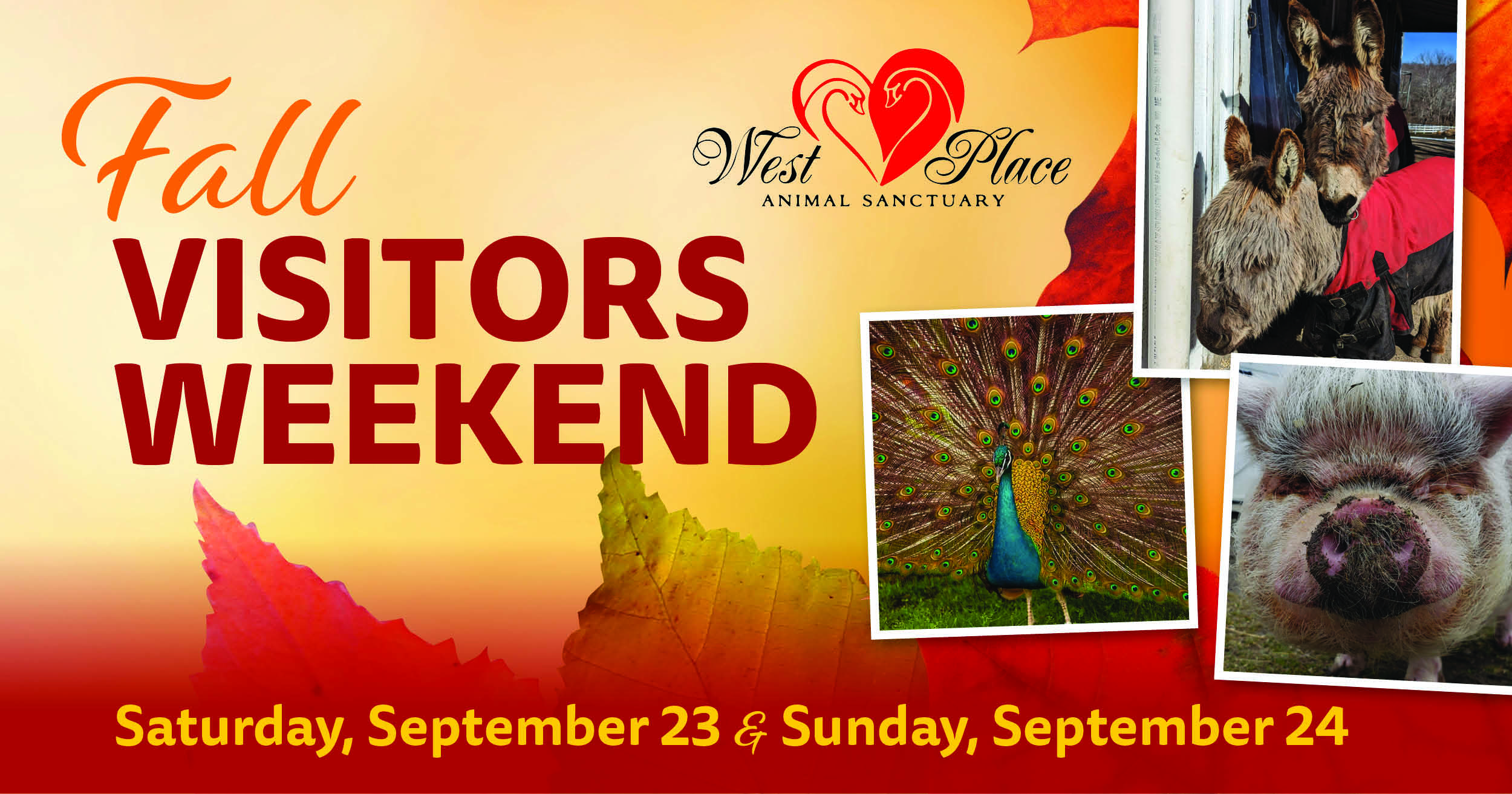 Fall Visitors Weekend: Saturday September 23 @ 1:30pm by West Place ...