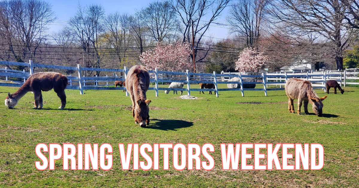 Spring Visitors Weekend: Sunday June 4 @ 3pm by West Place Animal Sanctuary