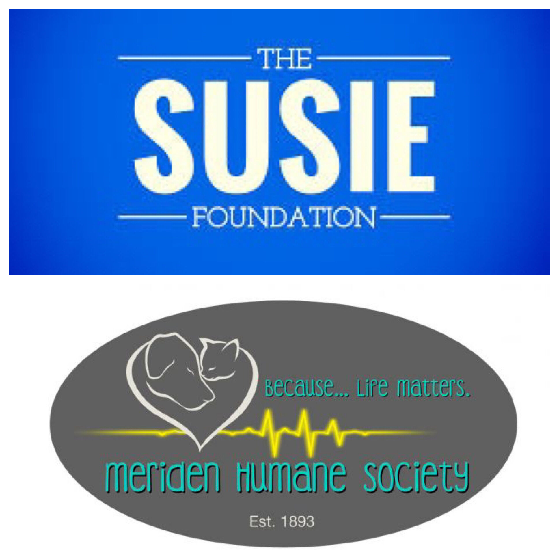 Donate Now | Sam Runs 35 miles for her 35th Birthday by The Susie ...