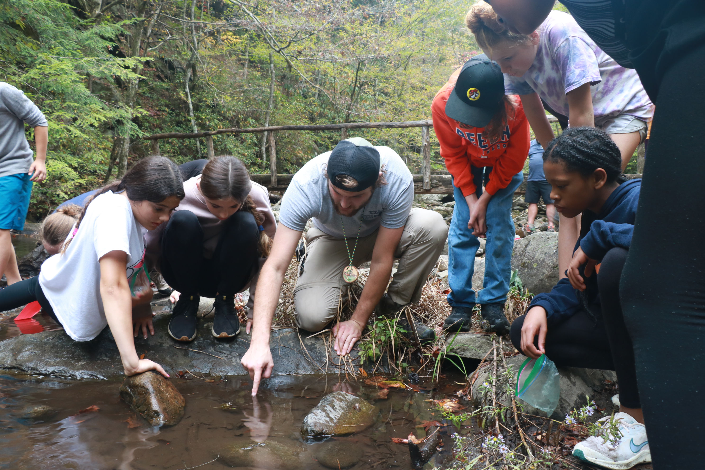 Great Smoky Mountains Institute at Tremont