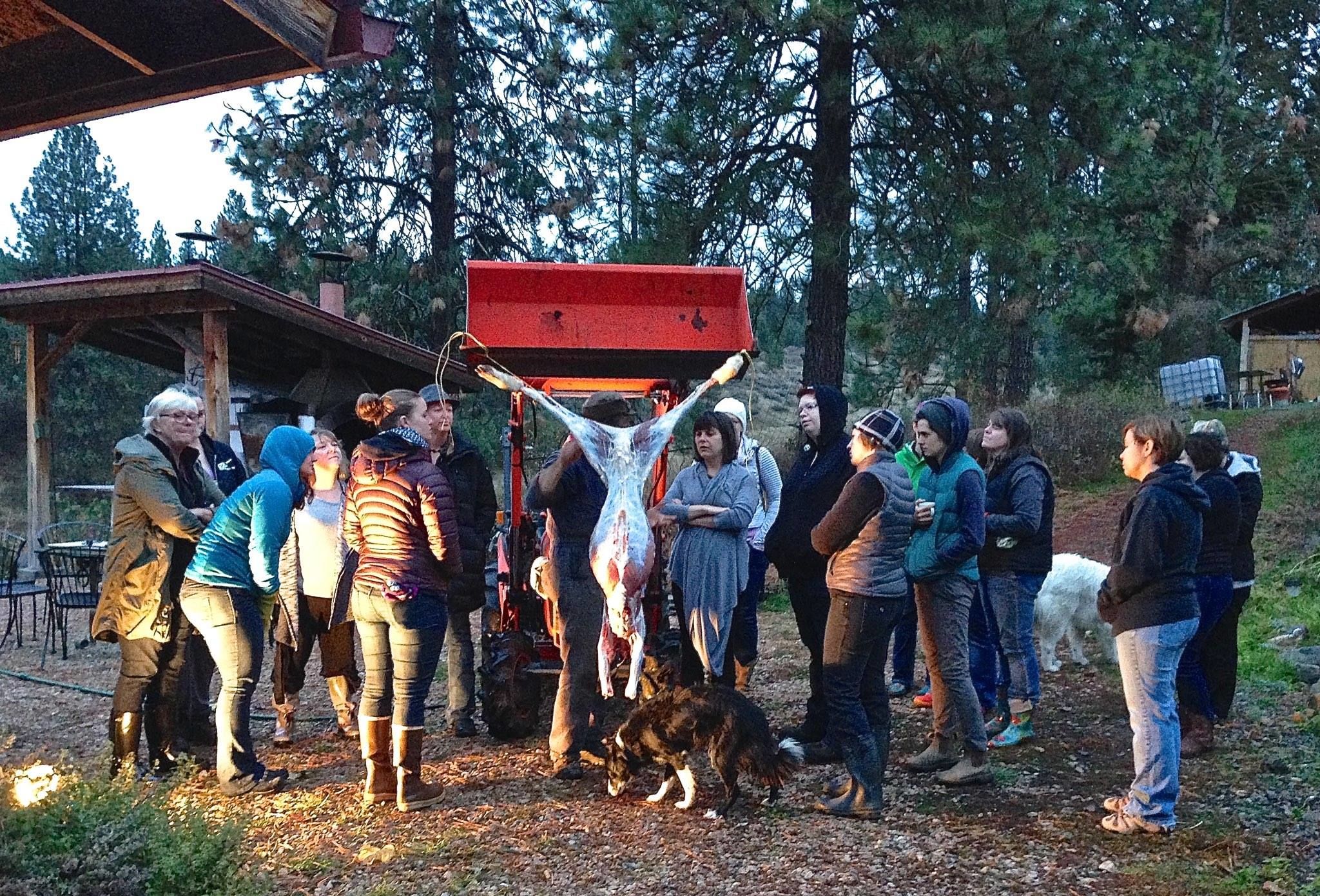 Grrls Meat Camp Rendezvous 2019: Regeneration by Good Meat Project