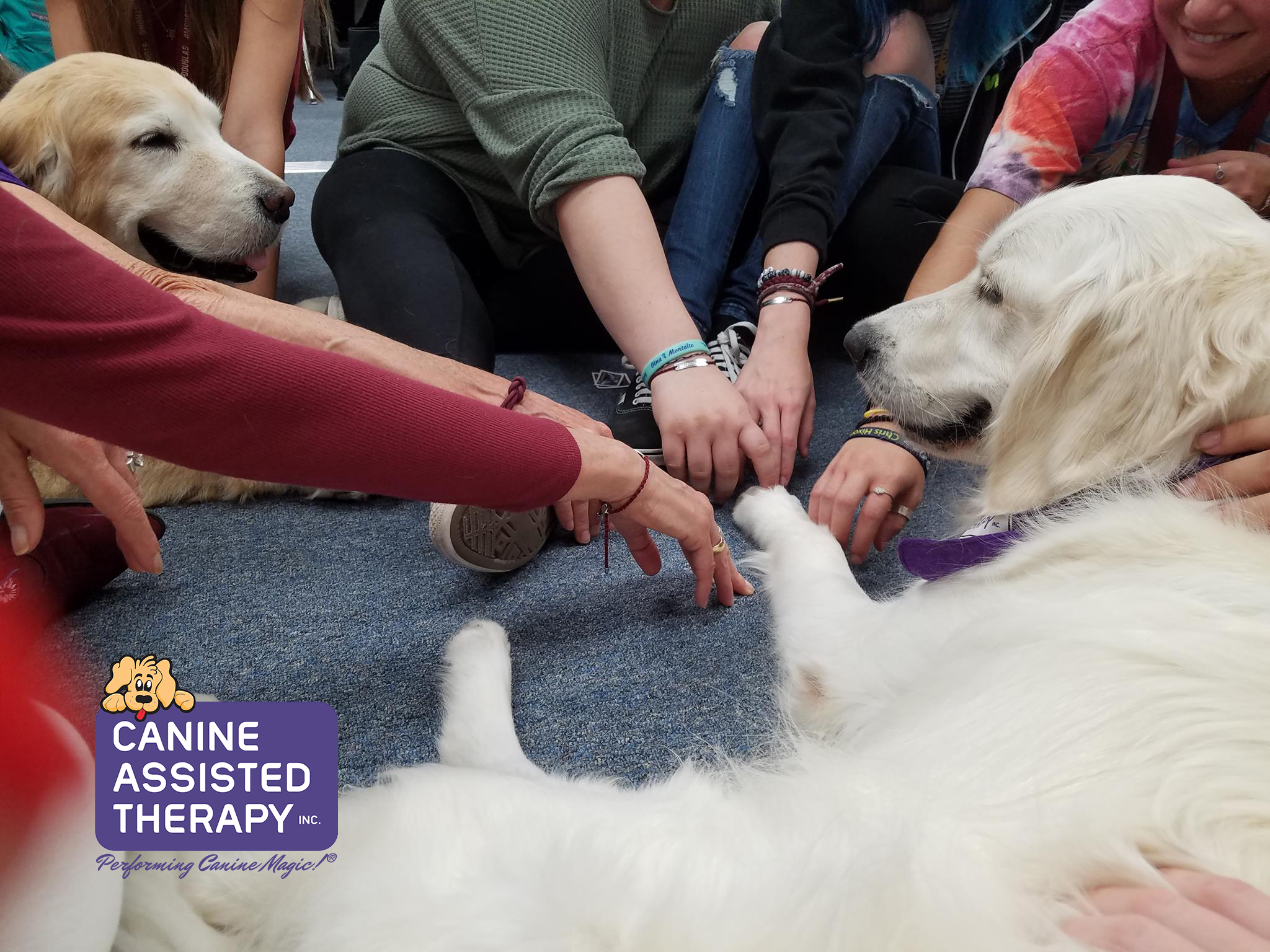 Donate Now | Canine Assisted Therapy