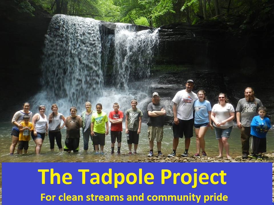 Donate Now | Tadpole Project by Coal River Mountain Watch