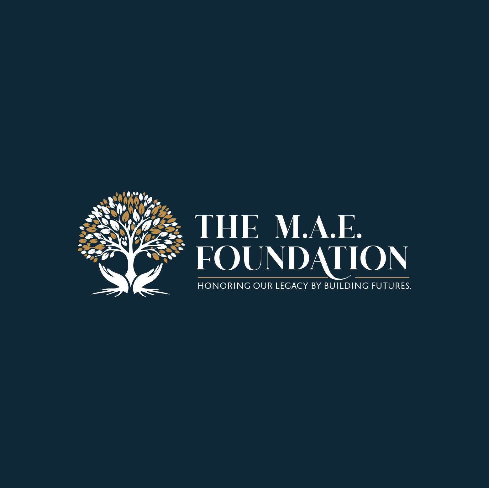 Donate Now | MAE Foundation Launch Campaign: Legacy in Motion by The M ...