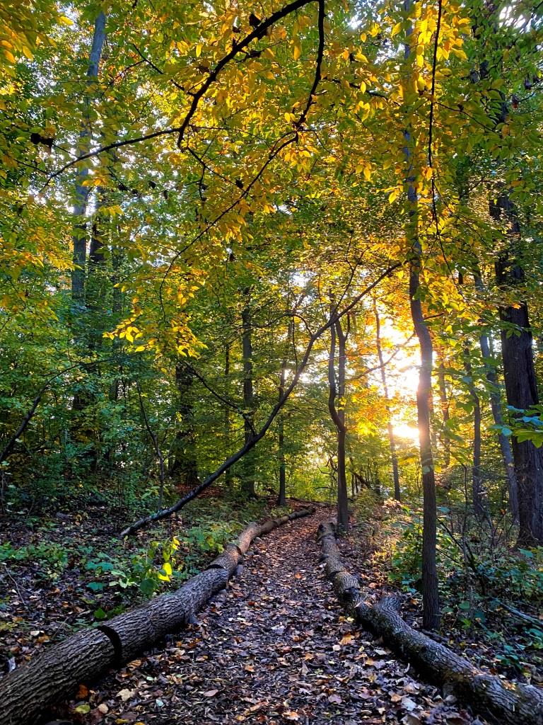 ART in the Garden 2024 - Tickets Available at the Door! by ART in the ...