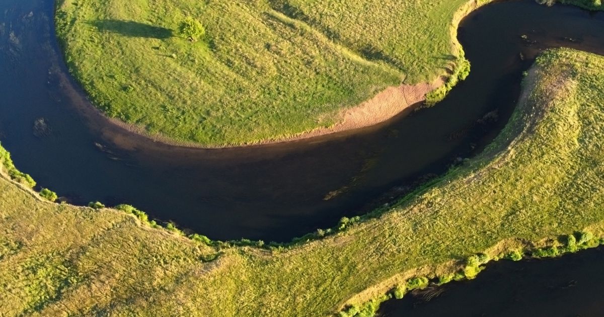 International Rivers