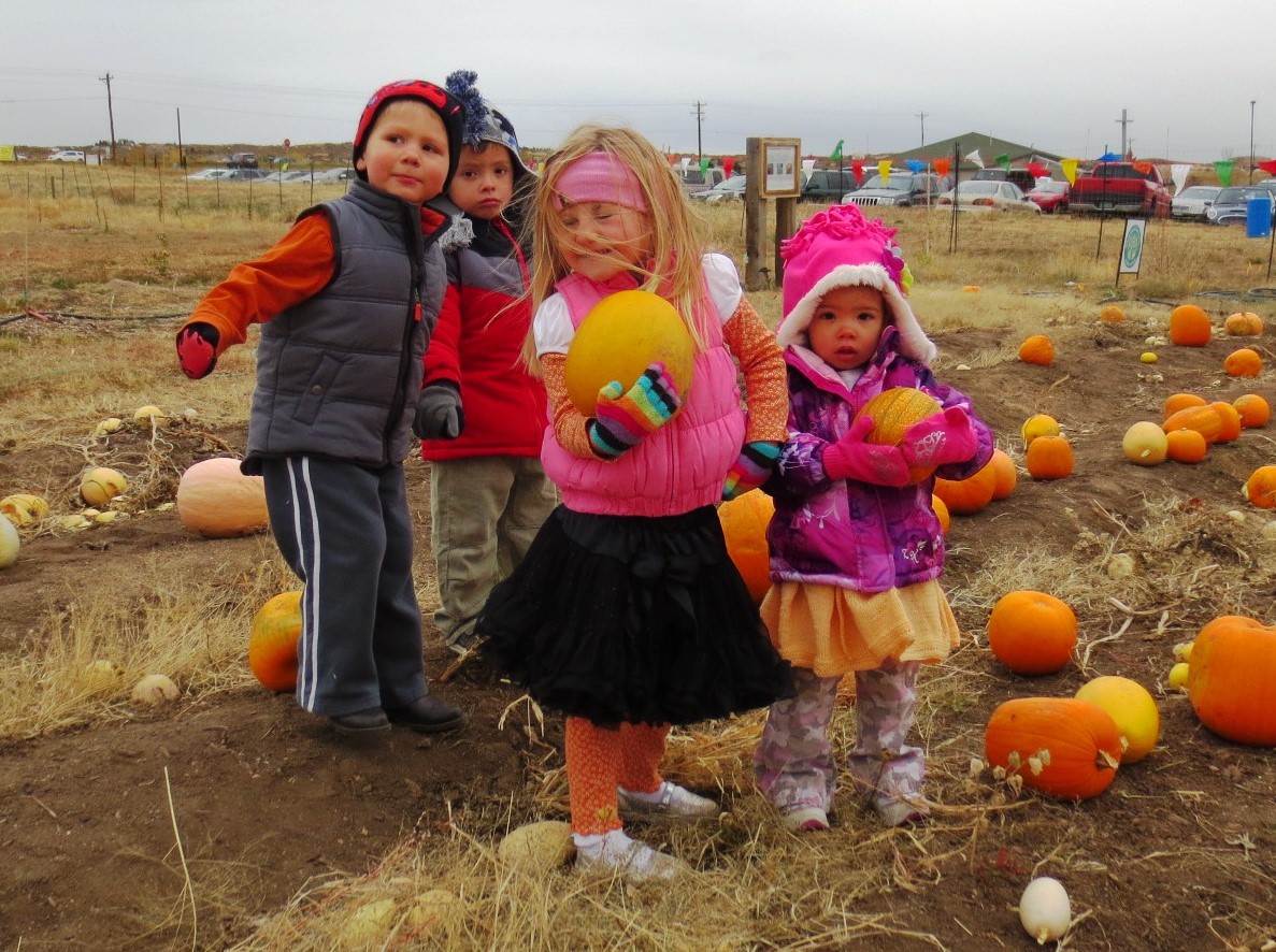 Pumpkin Patch and Barnyard Tours by Colorado Agricultural Leadership ...