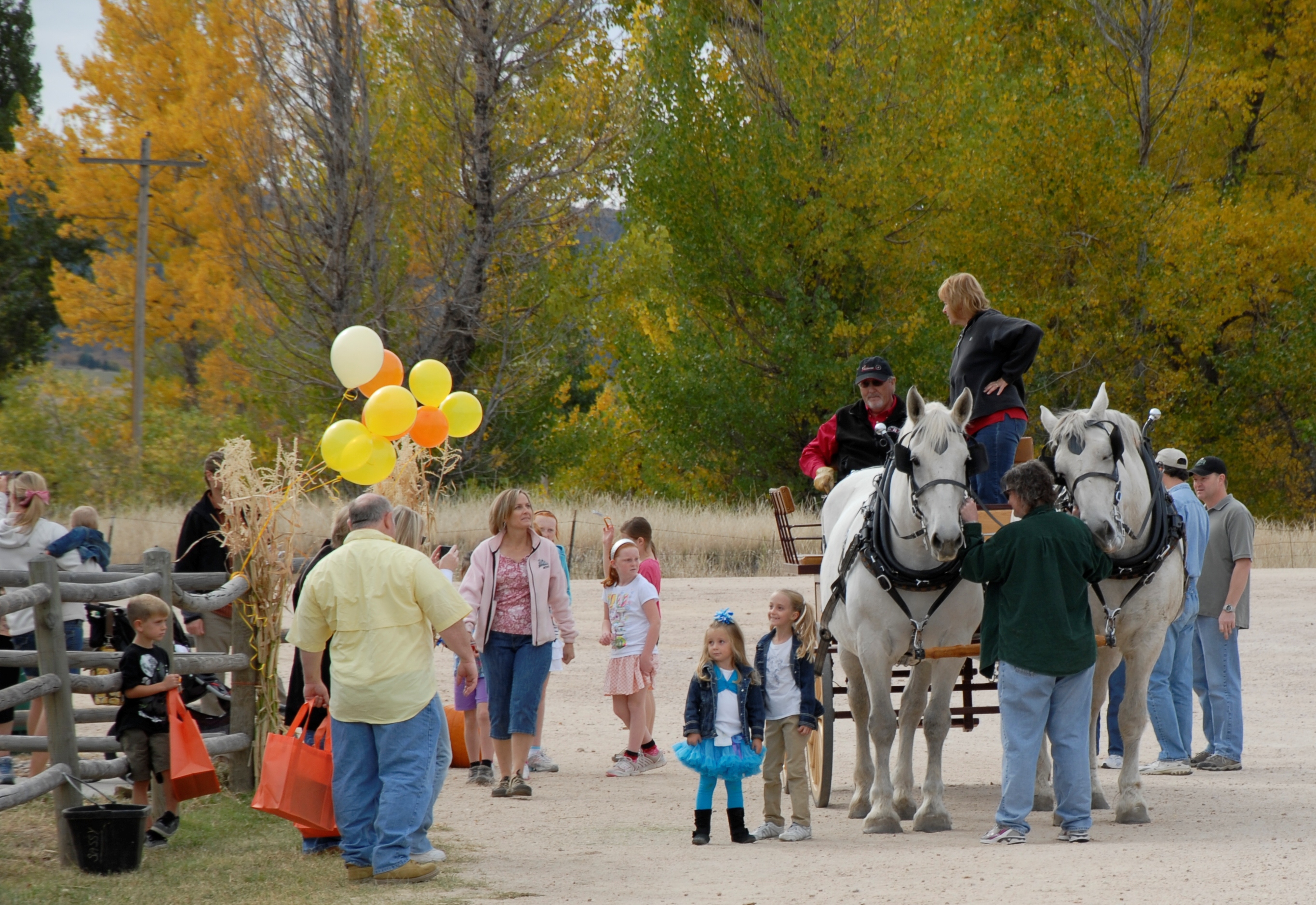 Harvest Day - A Fall Tradition by Colorado Agricultural Leadership ...