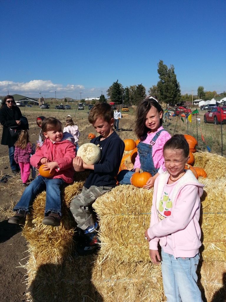 Fall Ranch Tours by Colorado Agricultural Leadership Foundation (CALF)