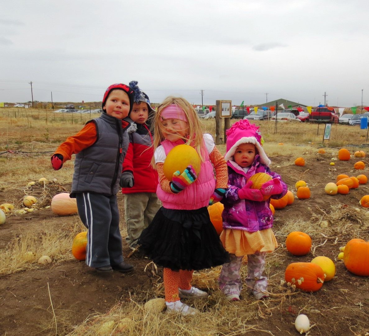 Fall Ranch Tours by Colorado Agricultural Leadership Foundation (CALF)