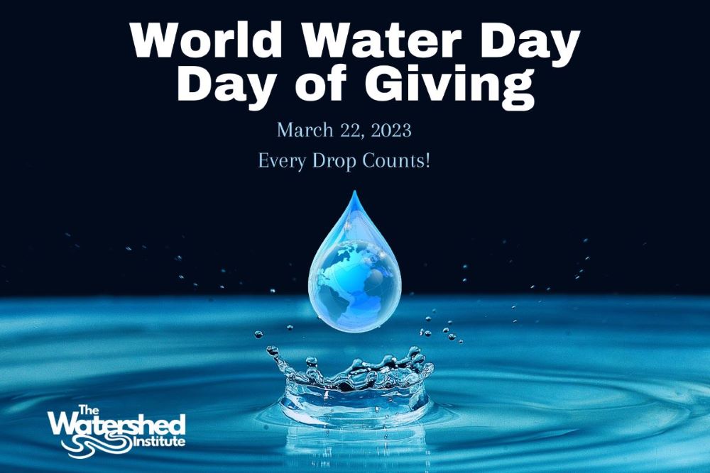 Donate Now | Day of Giving for World Water Day 2023 by The Watershed ...